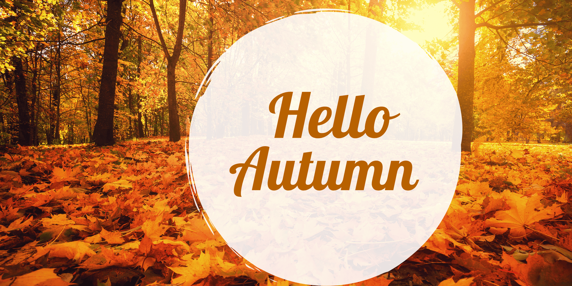 Snazzy Shop ~ Inspired by nature – Snazzy Shop NZ